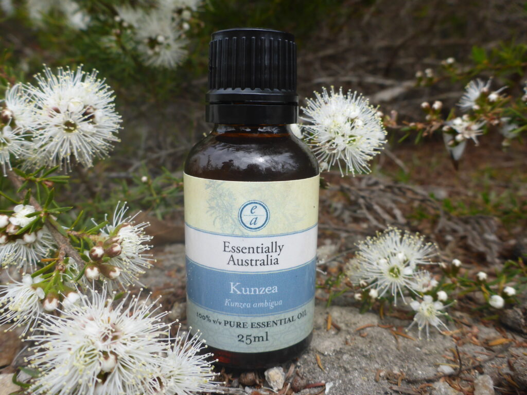 Kunzea Essential Oil - Essential oils for you and your family
