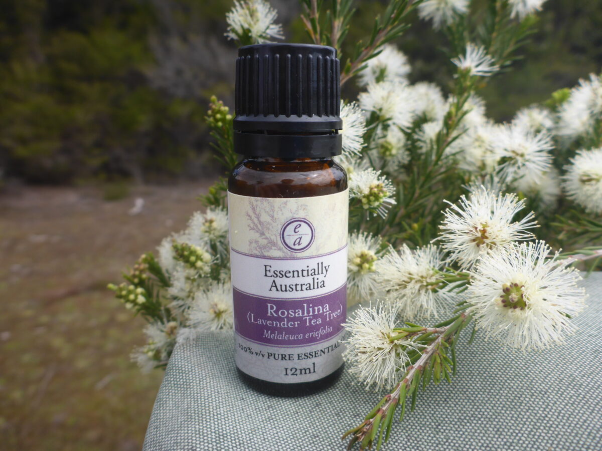 Rosalina Essential Oil | Essentially Australia