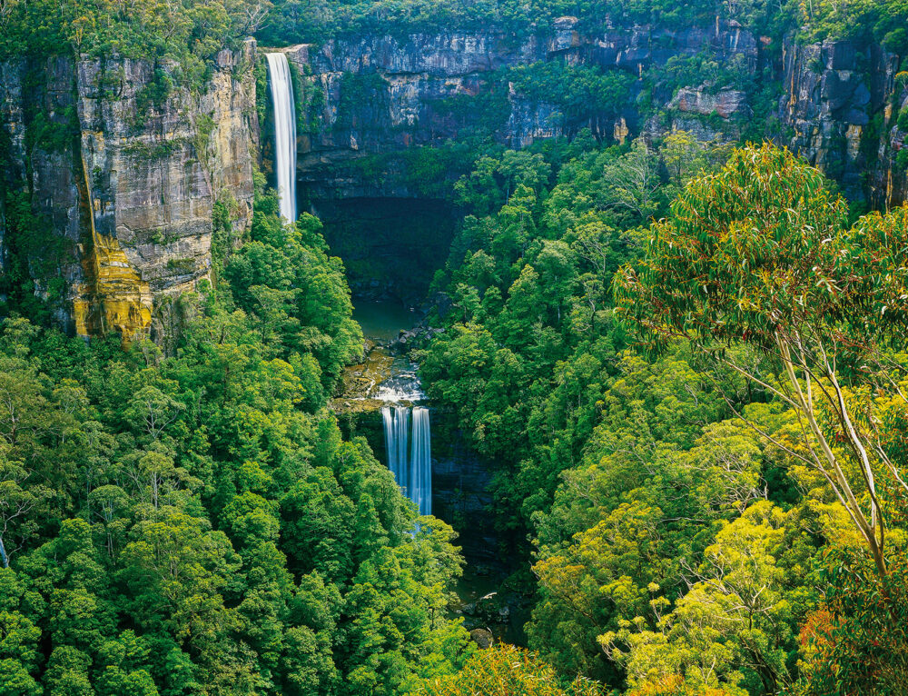 Why Australian Essential Oils? - Essentially Australia